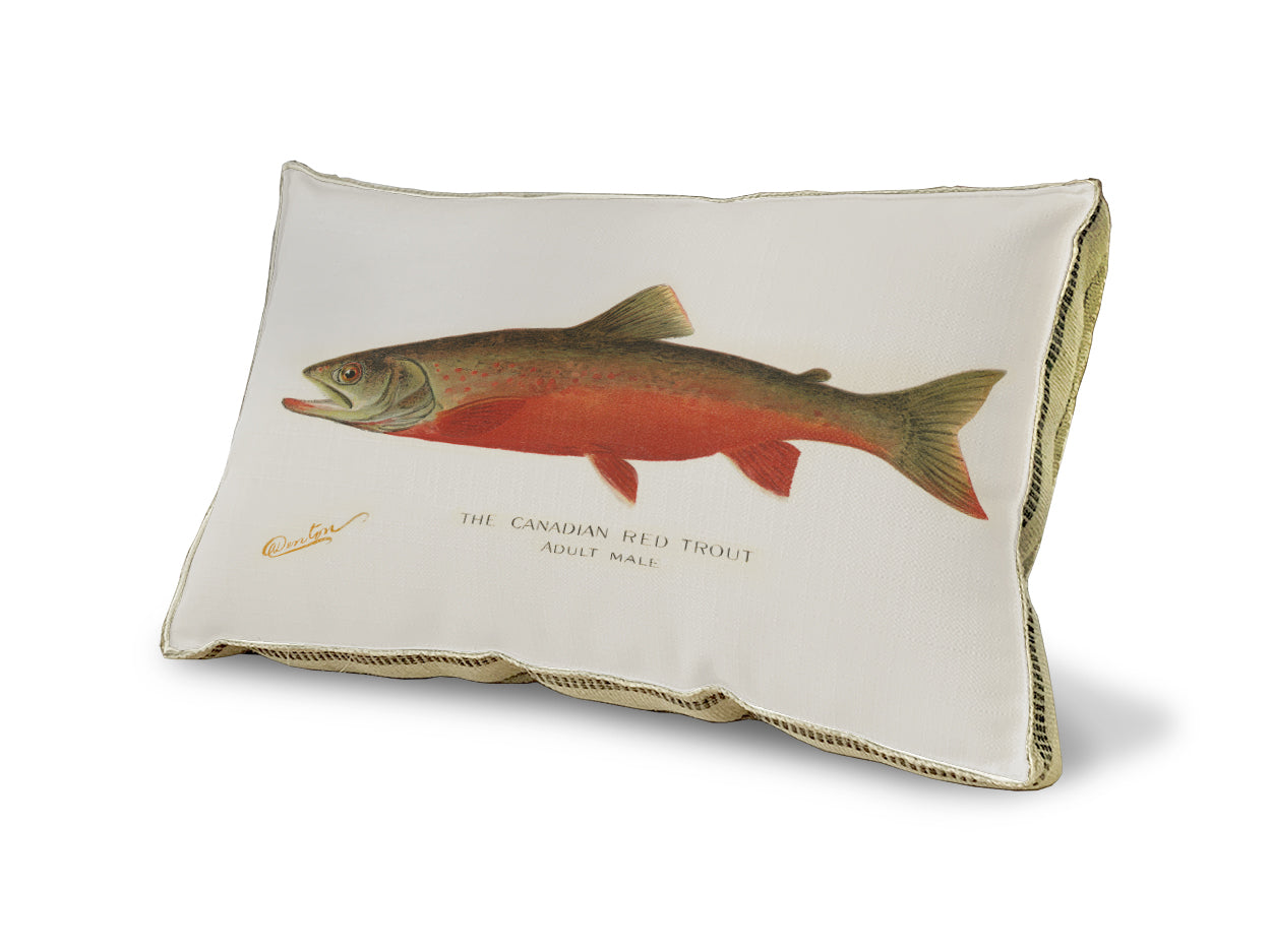 Canadian Red Trout pillow